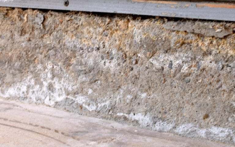 We Review L3000 Concrete Densifier by Foundation Armor | All Garage Floors